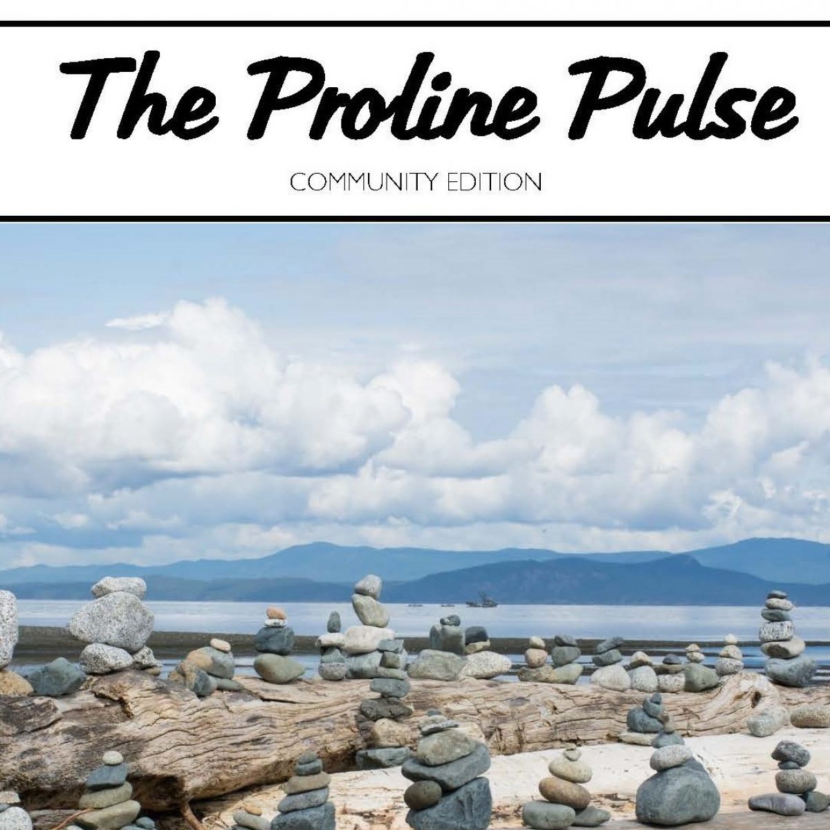 Home - Proline Property Management