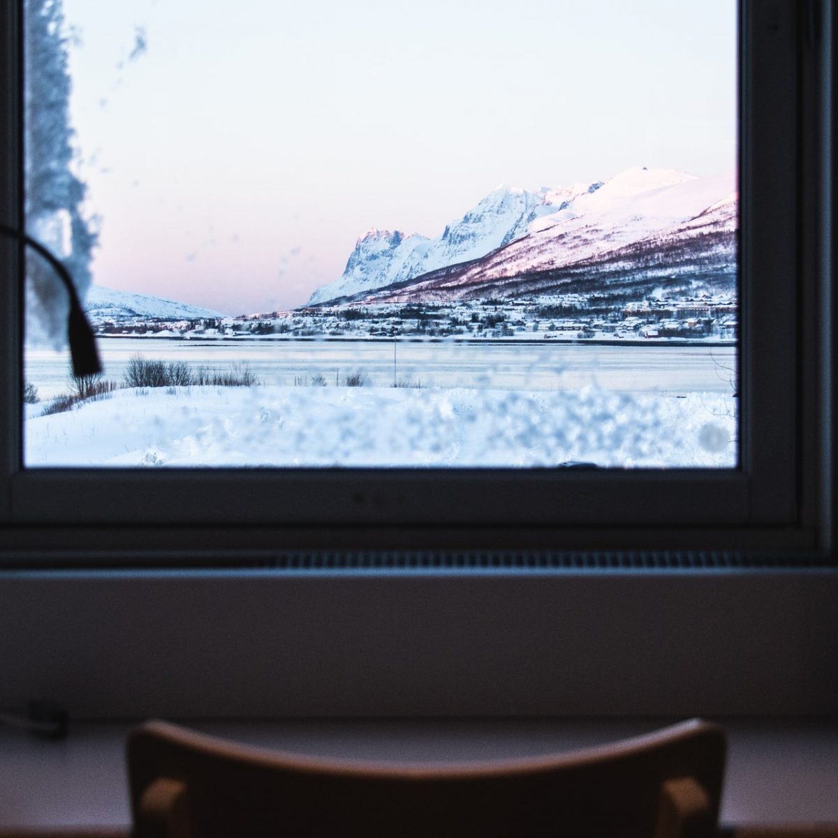 Home - Proline Property Management