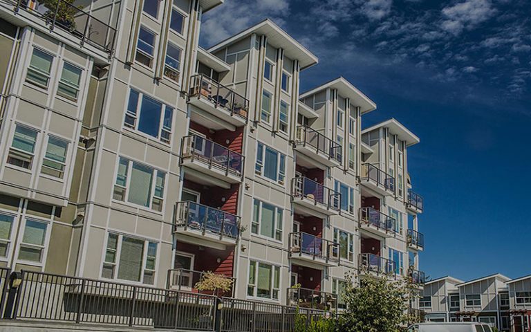 Services - Proline Property Management