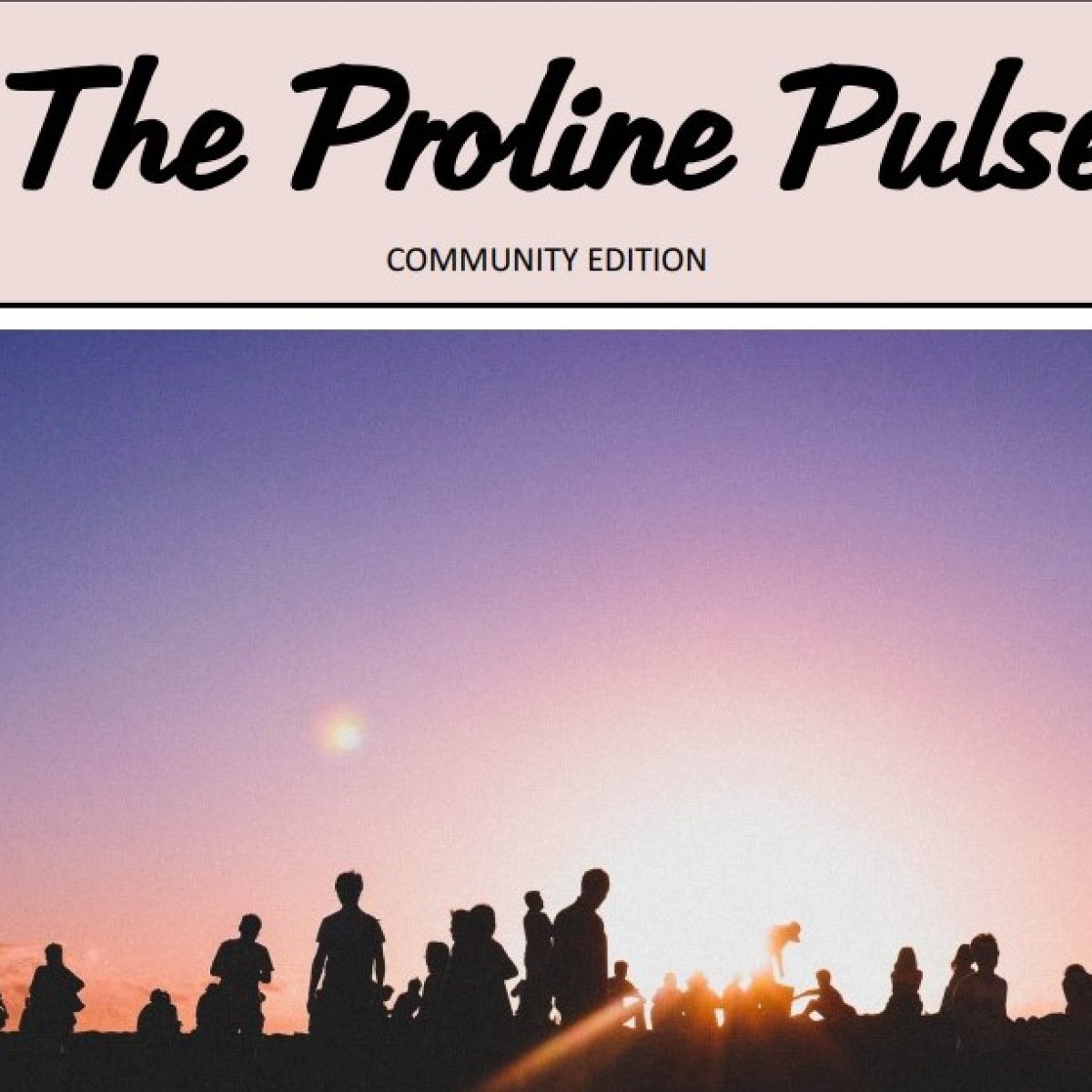 Home - Proline Property Management