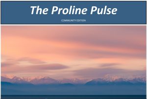 Home - Proline Property Management