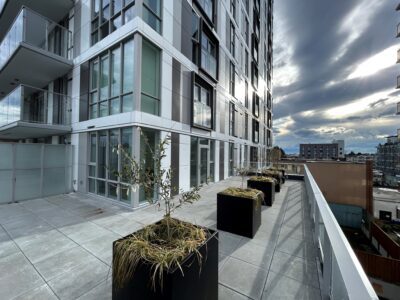 For Rent - Proline Property Management