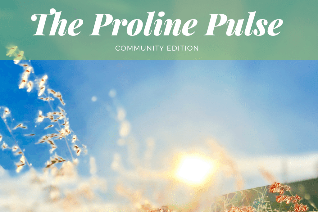 Home - Proline Property Management