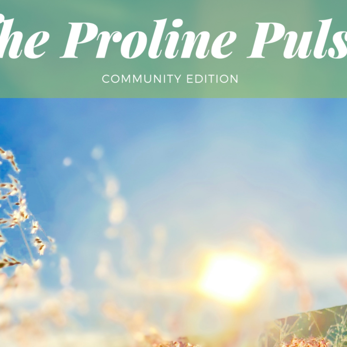 Home - Proline Property Management