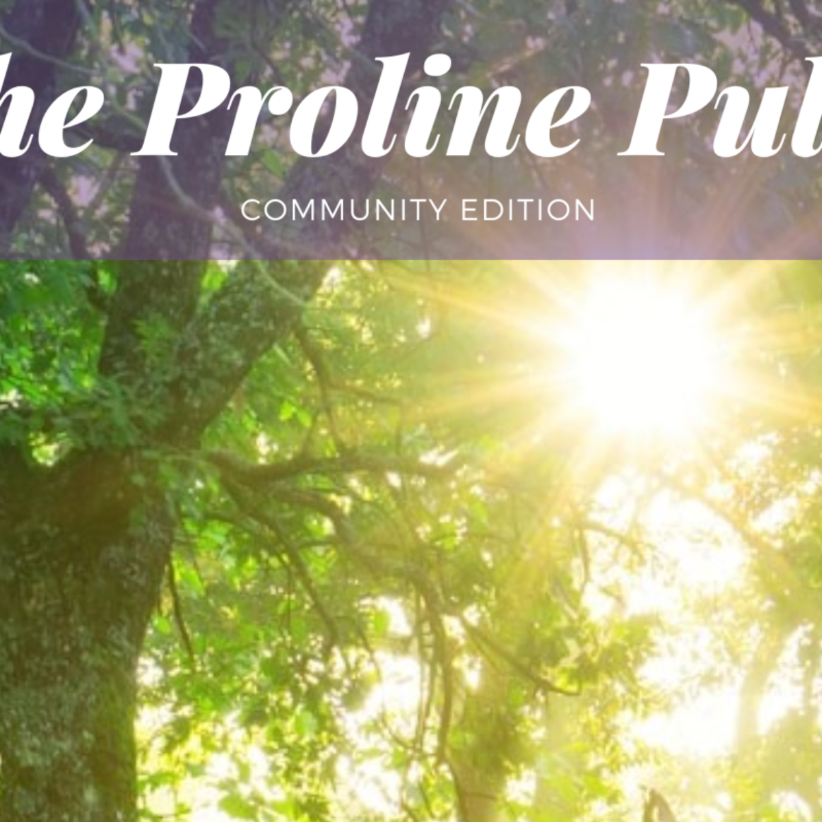 Home - Proline Property Management