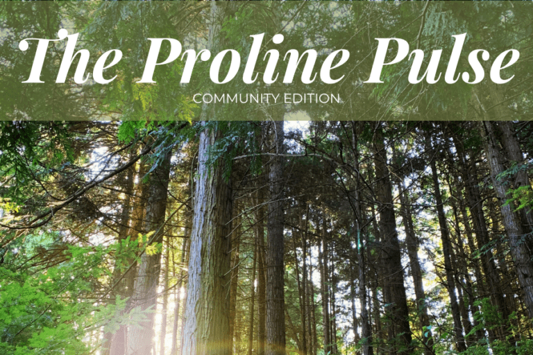 Home - Proline Property Management